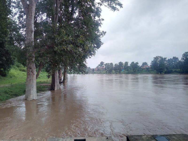 Flood stock photo. Image of river, flood, small, view - 125199204