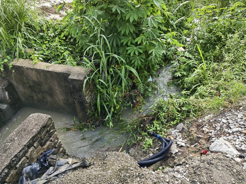 Flood Rainwater from the Farm Flowing into the Drainage System. Stock ...