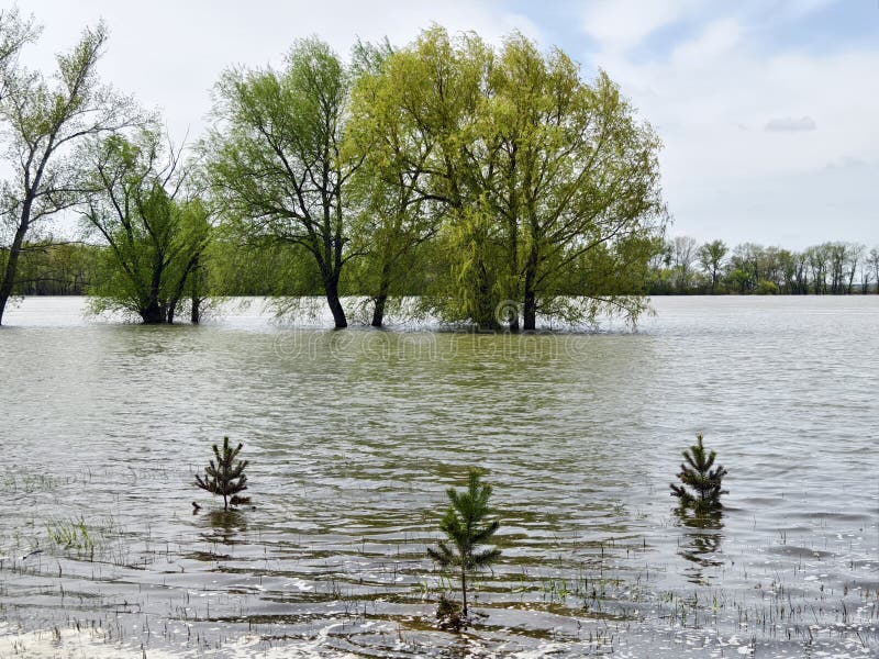 Flood is a Flood of the River. the Lake Overflows Its Banks Due To ...