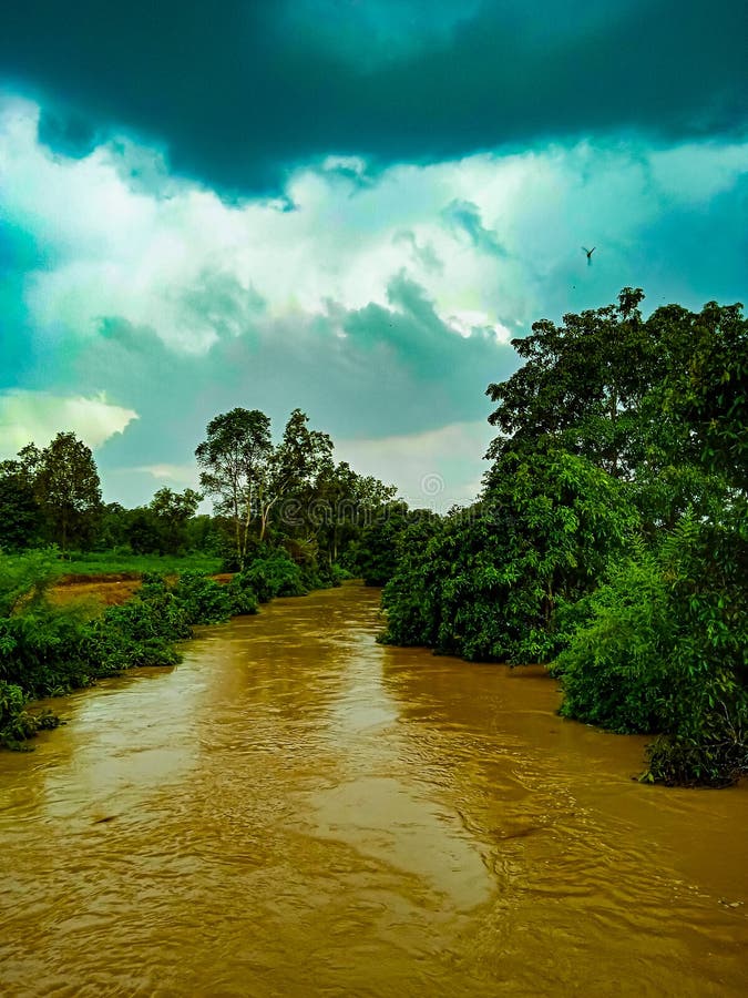 Flood river after the rain stock photo. Image of green - 208794616
