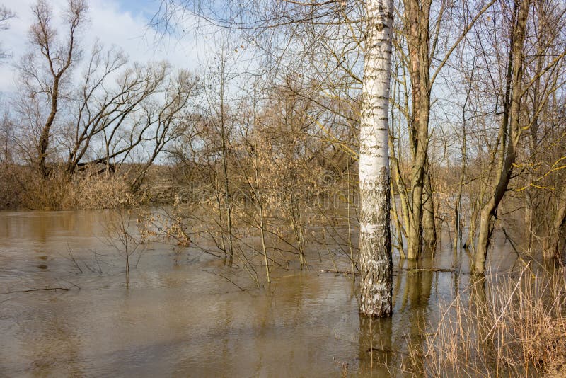Flood on the River in Spring during High Water Stock Image - Image of ...