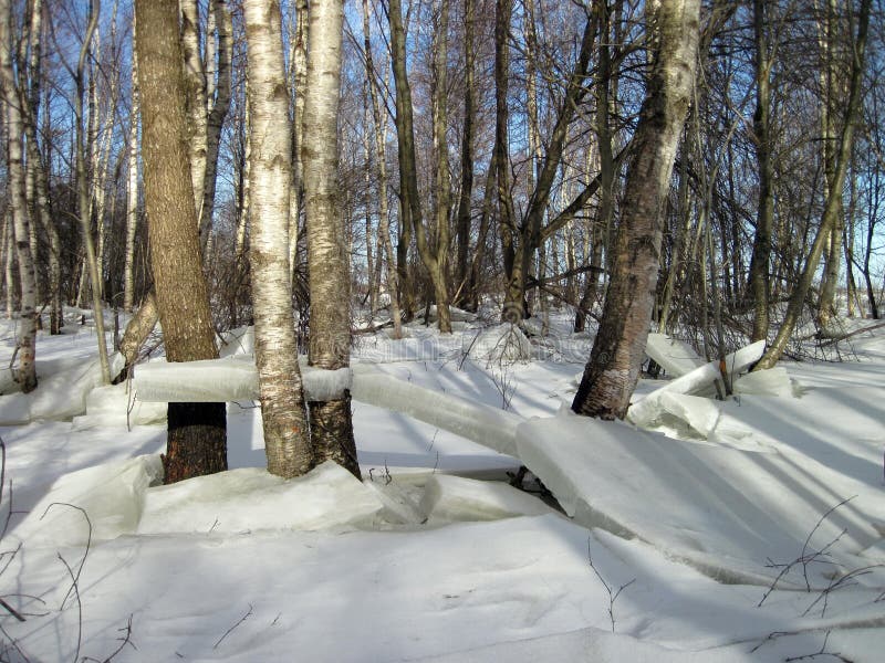Flood in Rusne, Lithuania stock photo. Image of white - 36365832