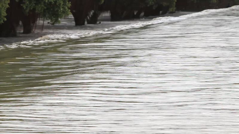 Flood, Water Flow Over Road Stock Footage - Video of home, emergency ...