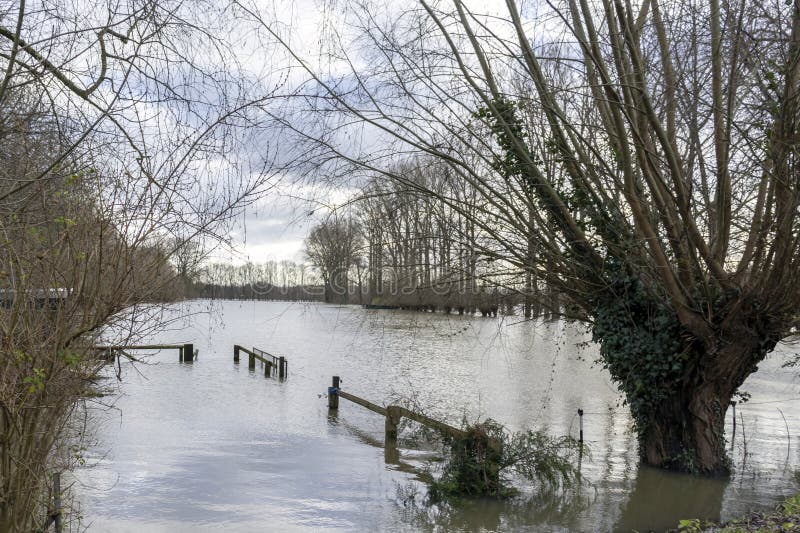 Flood. Water from the River Flooded the Area. High Water Stock ...