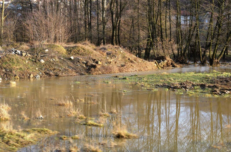 Flood Wave of the River in the Village Stock Photo - Image of leaf ...