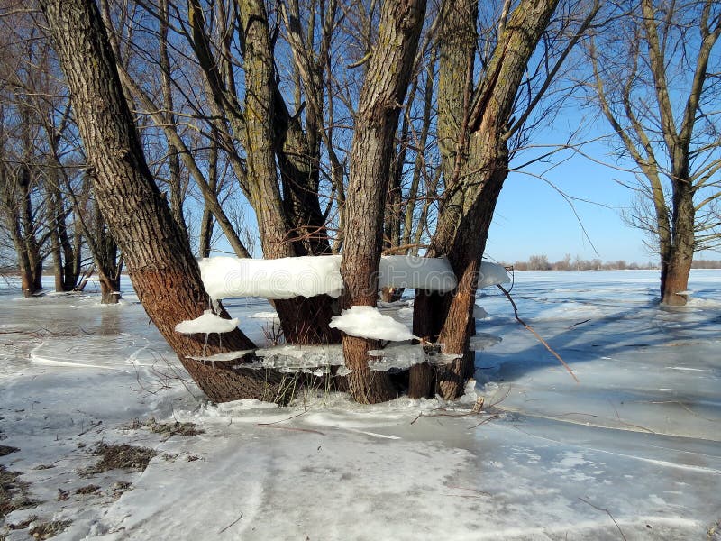 Flood in winter stock photo. Image of nature, winter - 31416488