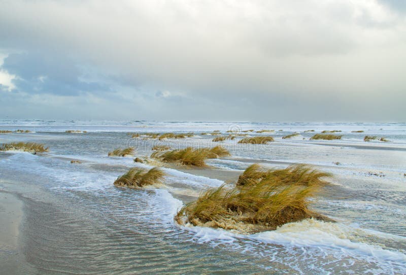 Flooded Beach with Sand Couch Grass Stock Image - Image of high, sand ...