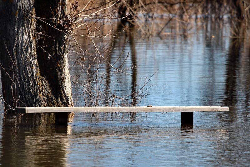 Flooded Bench and Trashcan at Park Pond Stock Image - Image of baster ...