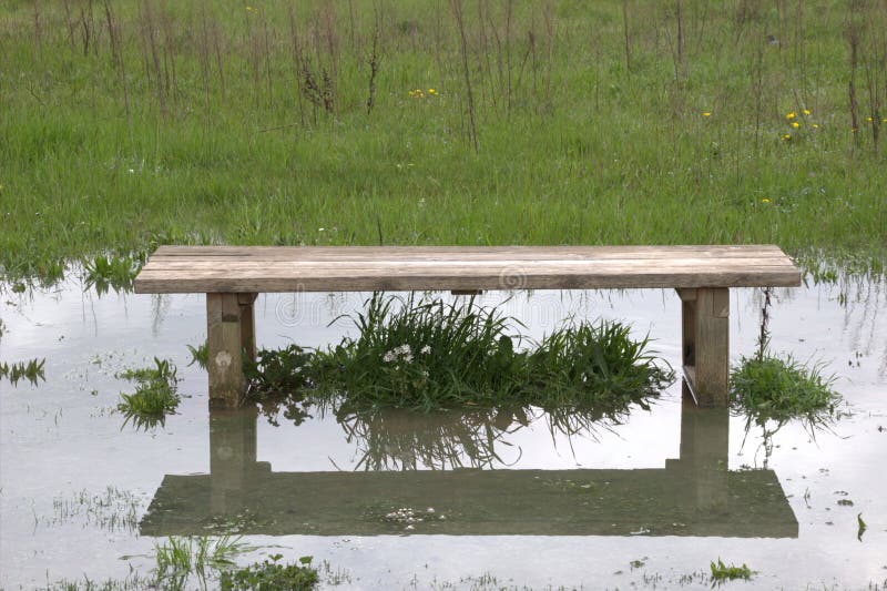 Flooded bench stock photo. Image of century, flow, environmental - 51963828