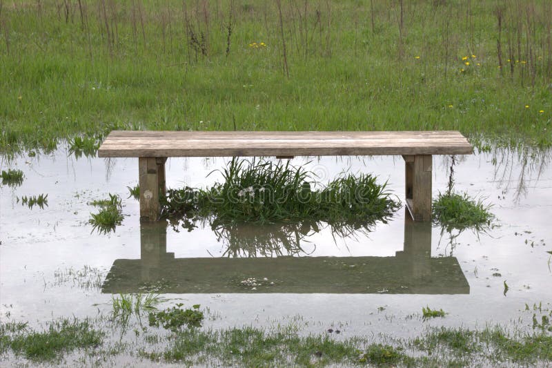 Flooded Bench and Trashcan at Park Pond Stock Image - Image of baster ...