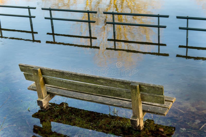 Flooded Bench and Trashcan at Park Pond Stock Image - Image of baster ...