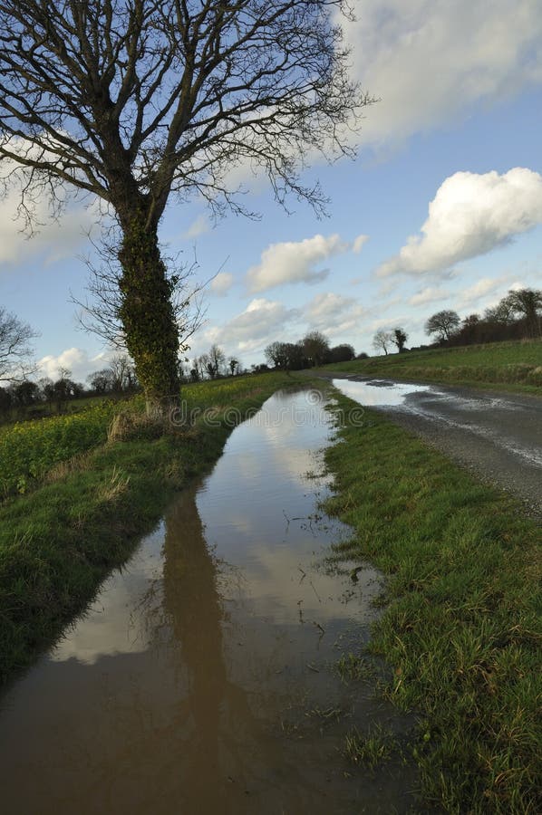 Flooded Country Roadway #5 stock image. Image of rain, river - 286003