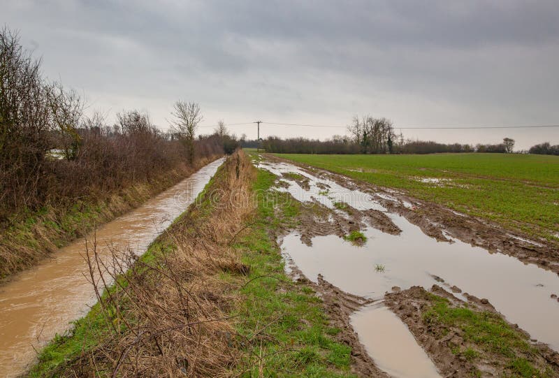 Flooded and Deeply Rutted Field Track Alongside a Swollen River. Stock ...