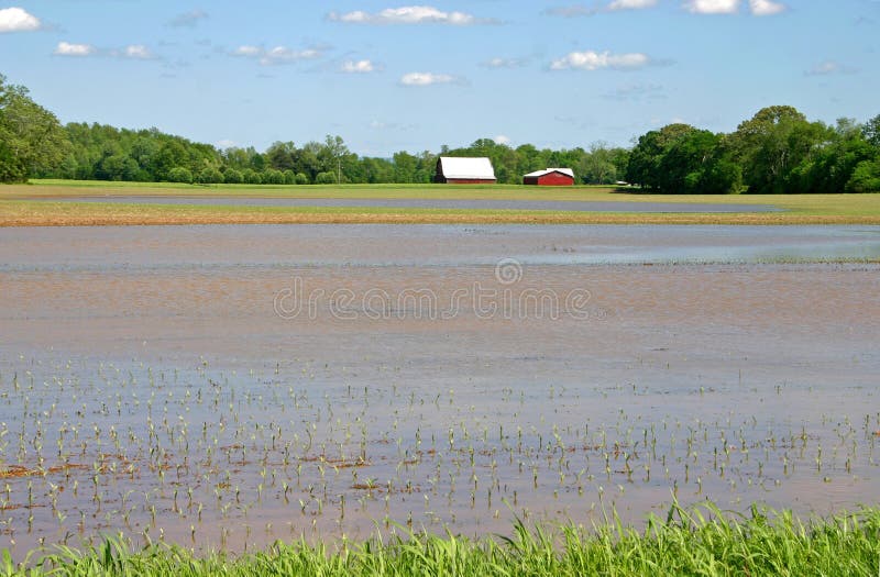 Flooded Farm stock photo. Image of flood, meadow, spring - 19392764