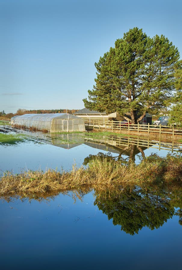 Flooded Farm stock photo. Image of greenhouse, autumn - 82587466
