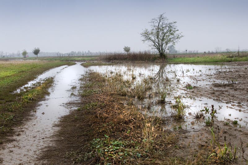 Flooded field stock image. Image of nature, field, agricultural - 61148781