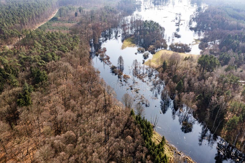 Flooded Fields, Meadows and Forests during Excessive Rainfall. a River ...