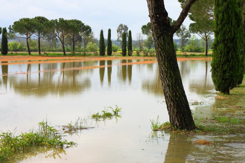 Flooded Fields After Torrential Rain Stock Photo - Image of flooded ...