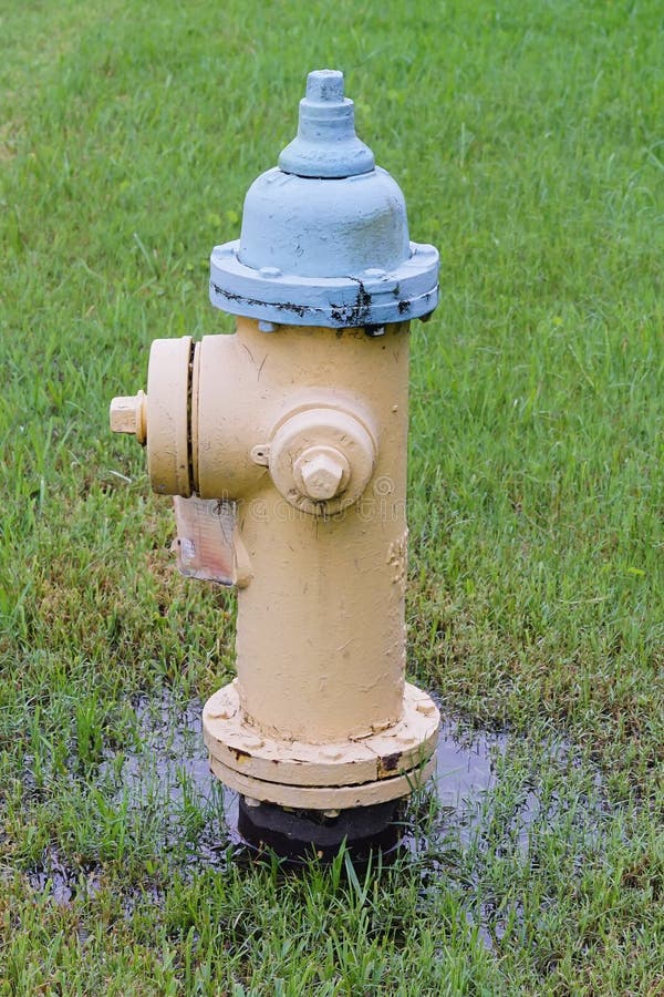 Red Fire Hydrant with in Grass Stock Photo - Image of connection, plug ...