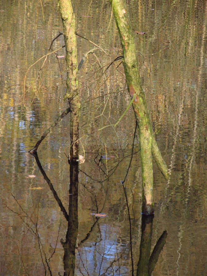 Delved Stock Photos - Free & Royalty-Free Stock Photos from Dreamstime