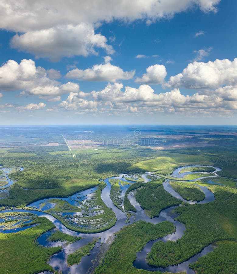 Flooded forest plains stock image. Image of equipment - 31776897
