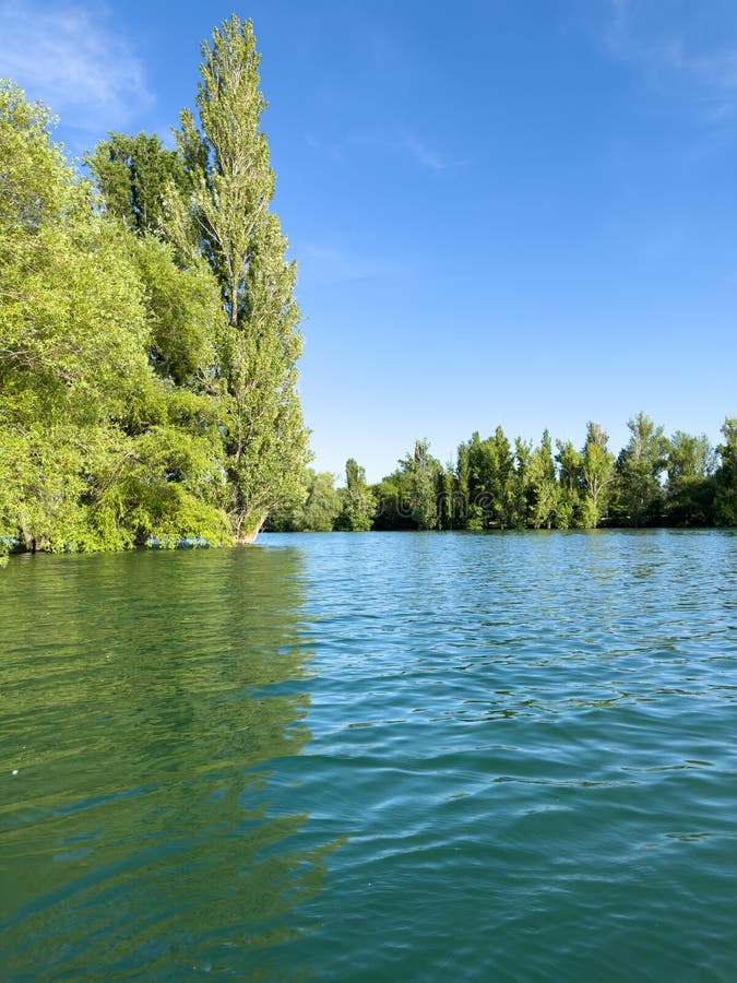 Flooded Forest Tall Trees Still Water Stock Photos - Free & Royalty ...