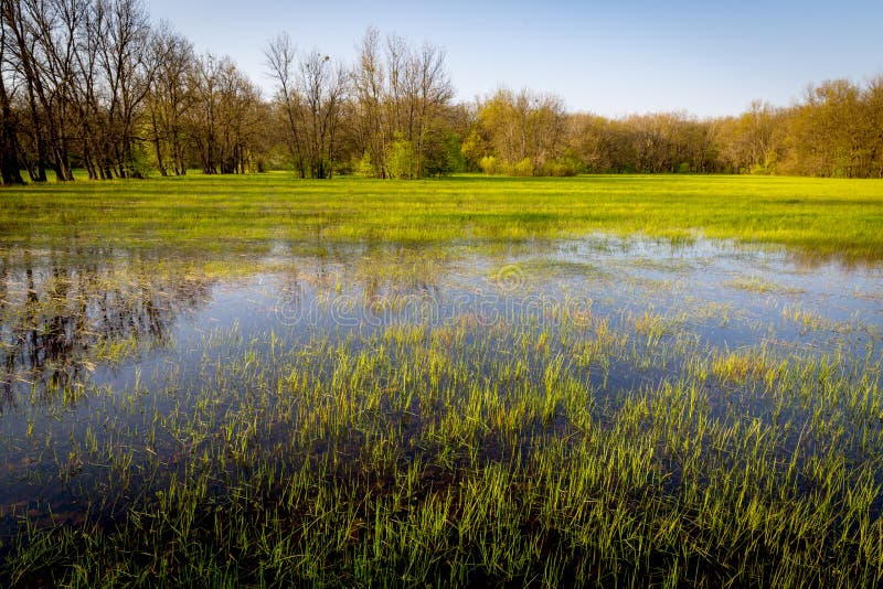 Flooded the Pasture Field,flooded the Lawn in the Yard after a Severe ...
