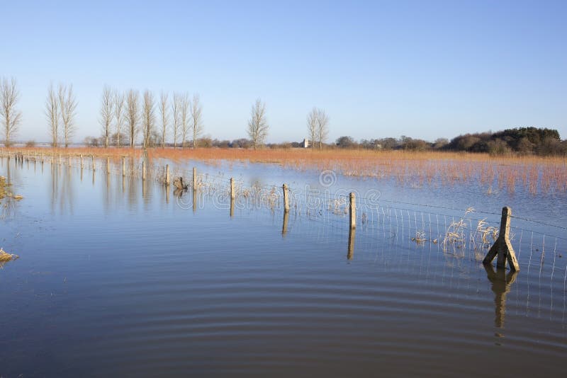 Flooded landscape stock image. Image of scenery, fuel - 17913261