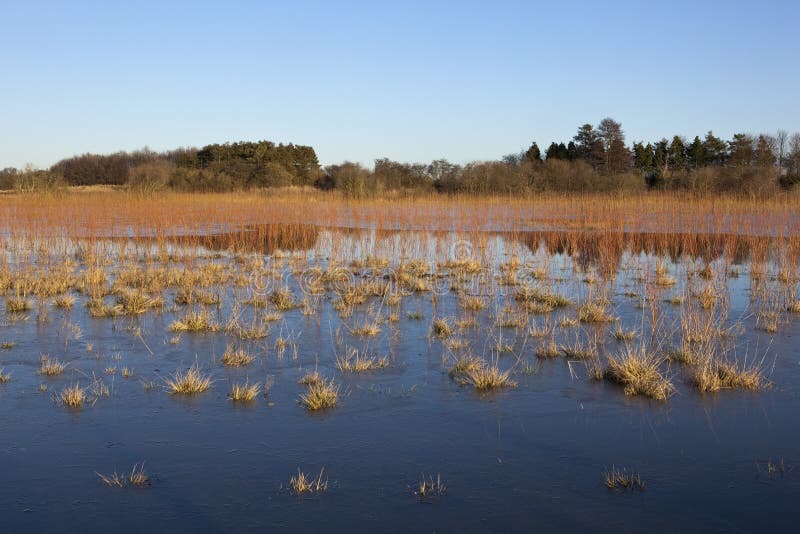 Flooded fields stock photo. Image of environment, english - 17991920
