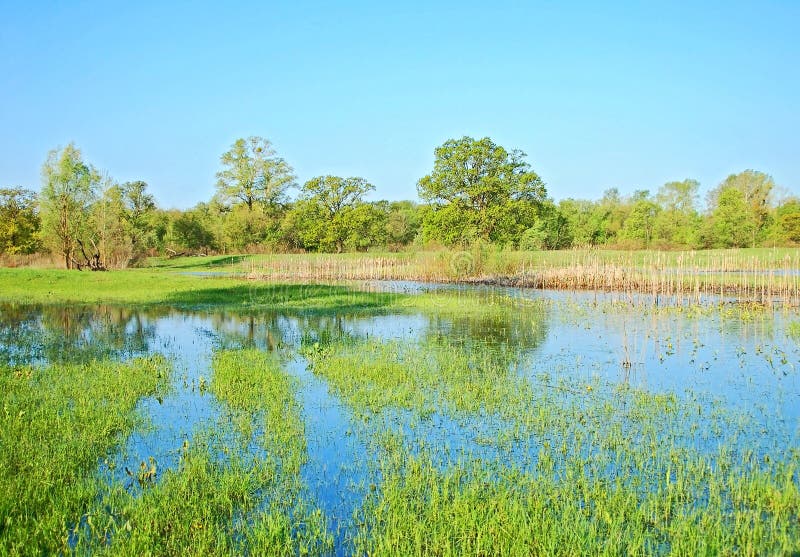 Flooded Meadow that is Under Water Due To the Flooding. Too Wet Season ...