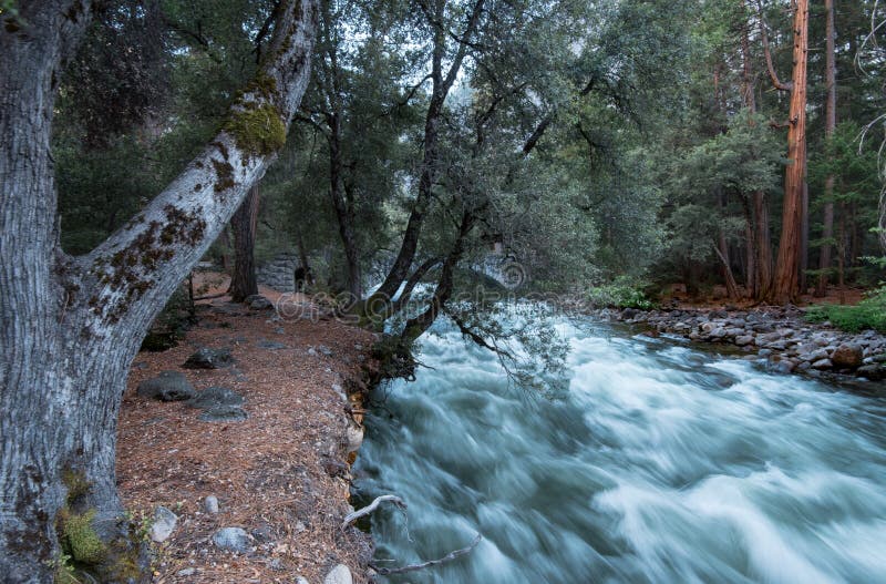 The Flooded Merced River in Spring Stock Photo - Image of hour, glacier ...