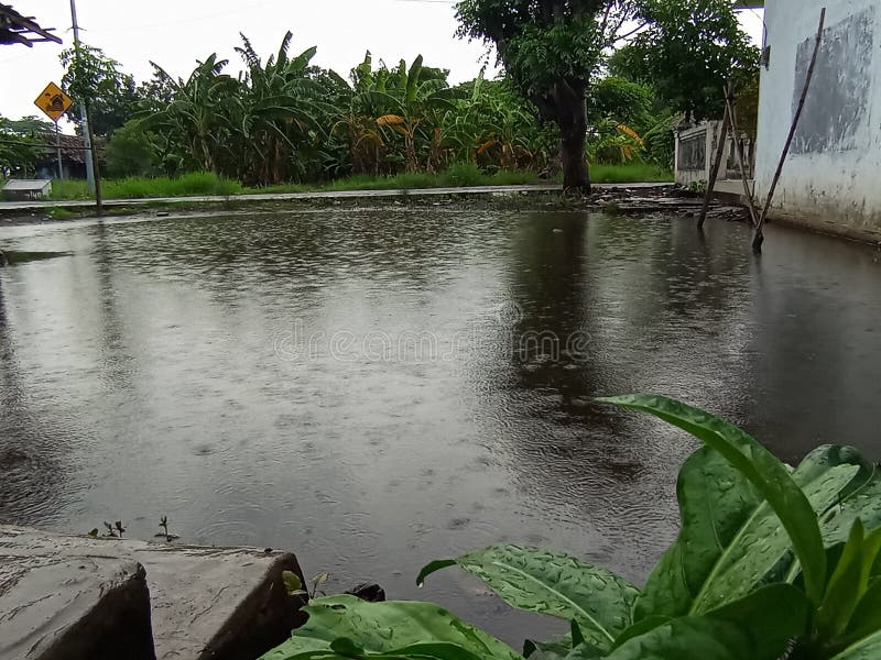 Flooded in the Middle of the Drizzle Rain Season Stock Photo - Image of ...