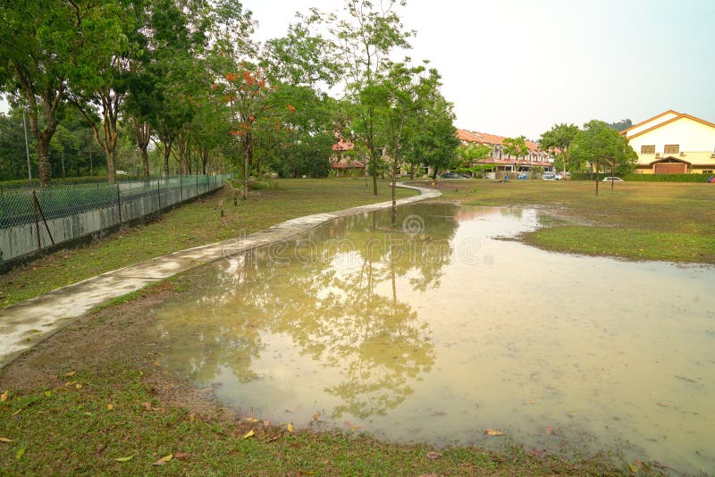 Flooded Park in the Countryside in Autumn Stock Photo - Image of back ...