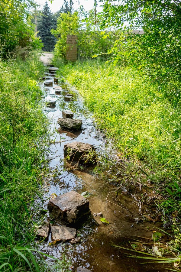 Flooded Path in the Summer. the Concept of daily Obstacles Stock Image ...