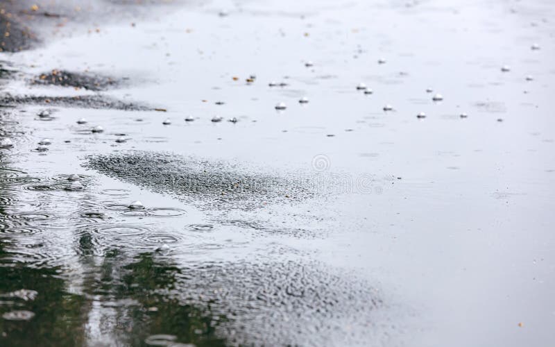 Wet Pavement on a Rainy Day Stock Photo - Image of surface, water: 60314718