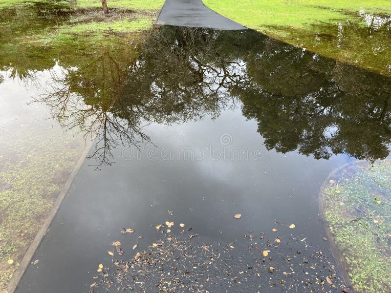 Flooded Pedestrian Walkway after Heavy Rain. Trees Reflect on Water ...