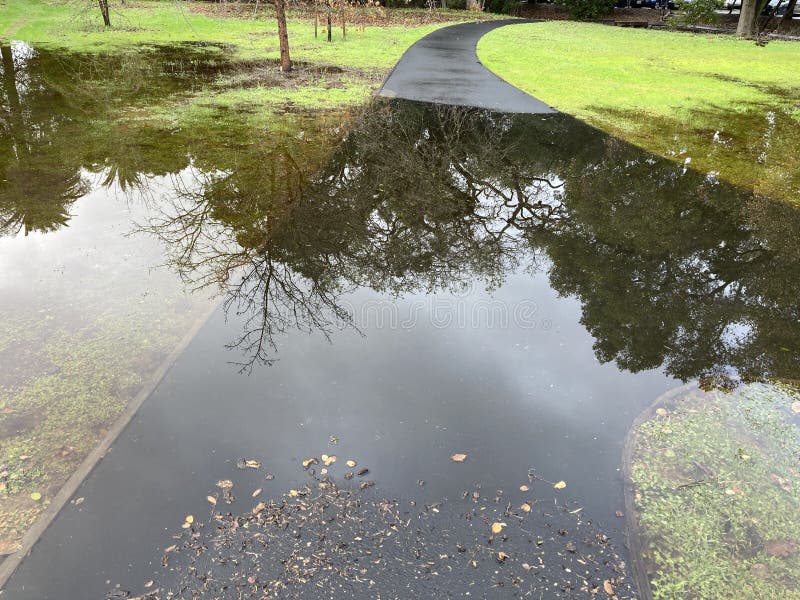 Flooded Pedestrian Walkway after Heavy Rain. Trees Reflect on Water ...