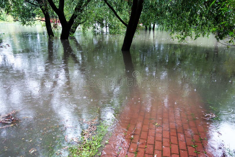 Flooded Red Brick Walkway, Horizontal Photo, Rain Stock Image - Image ...