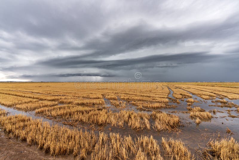 Flooded Rice Fields and Storm Over Albufera, Valencia Stock Photo ...