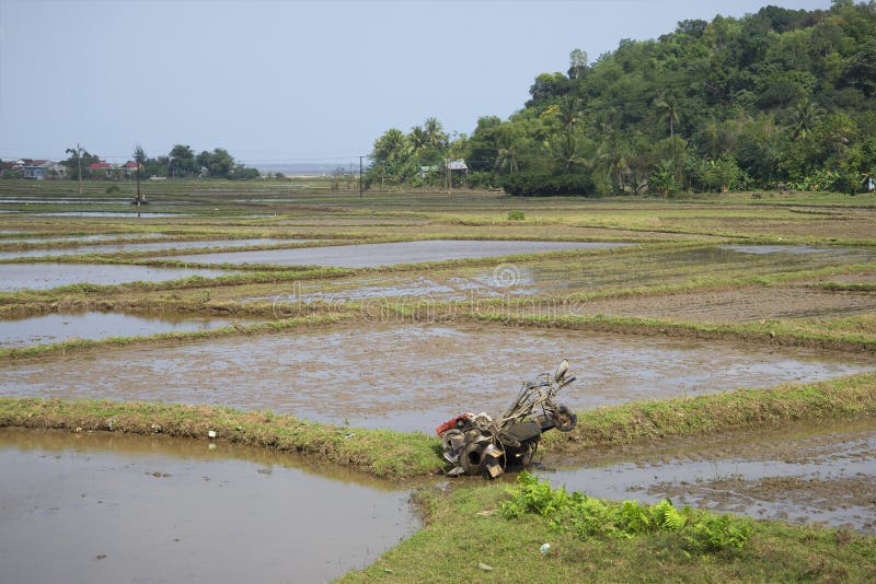 Flooded Rice Fields in the Vicinity of Hue Stock Image - Image of ...