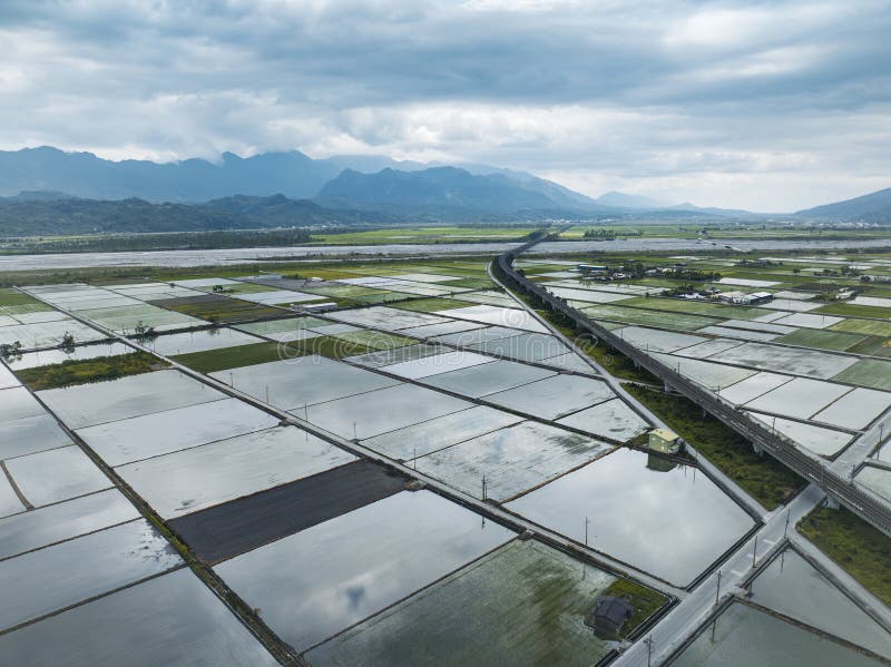 Flooded Rice Paddies. Agronomic Methods of Growing Rice in Taiwan Stock ...