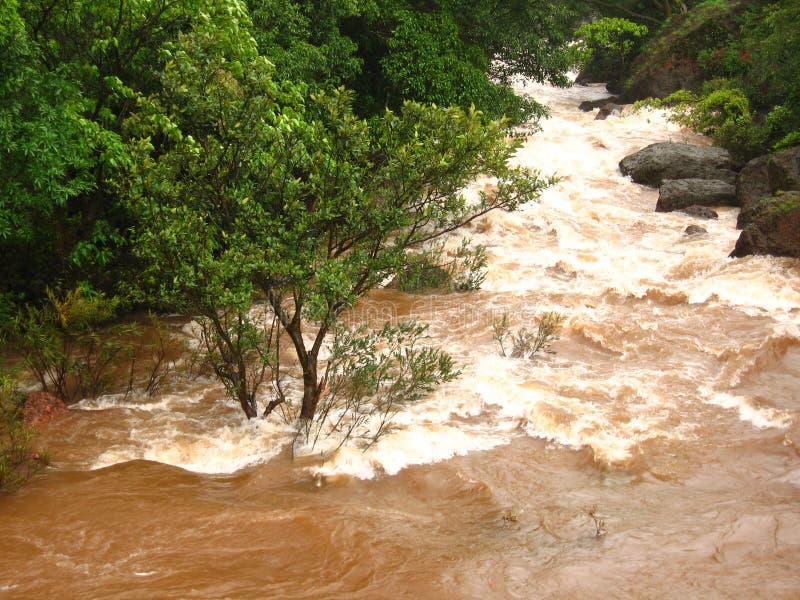 Flooded River in Countryside Stock Image - Image of forestry, outside ...