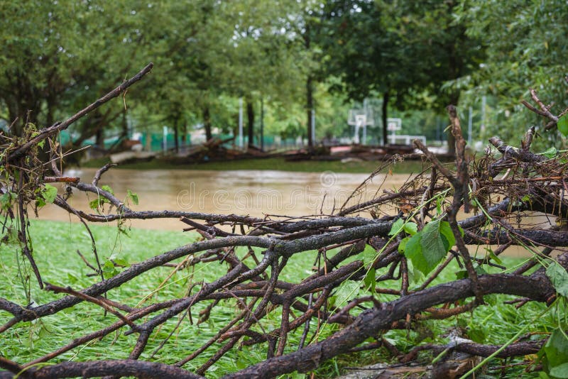 Flooded River after Heavy Rain Stock Photo - Image of city, natural ...