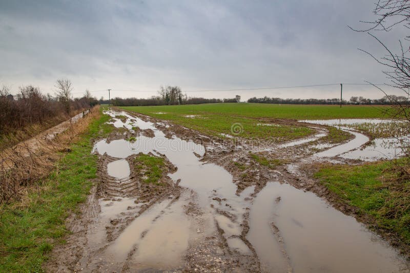 Rutted Soil Cultivation For Cassava Stock Image - Image of gasohol ...