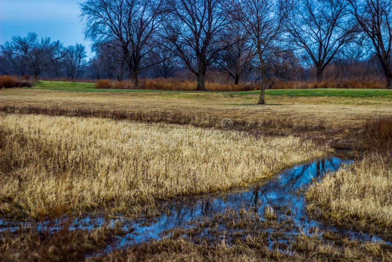 Flooded Walkways on a Neglected Golf Course Stock Photo - Image of dead ...