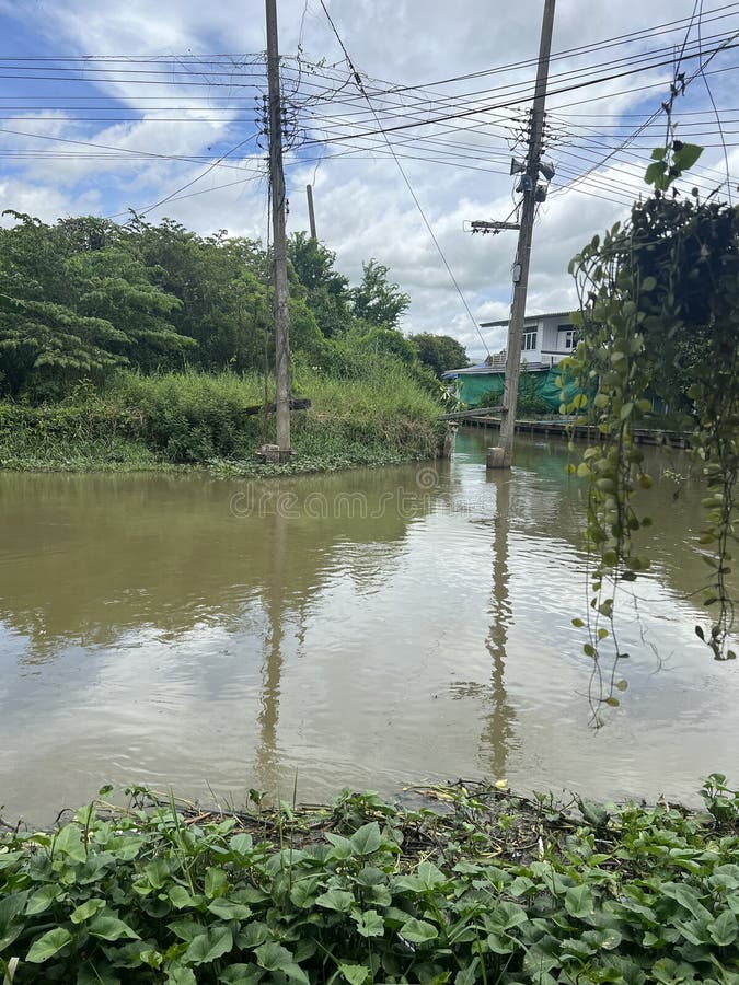Flooded Water after Heavy Rain Stock Photo - Image of park, flood ...
