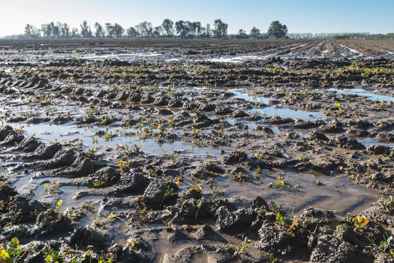 Flooding on farmland stock photo. Image of outdoors, rain - 35432146