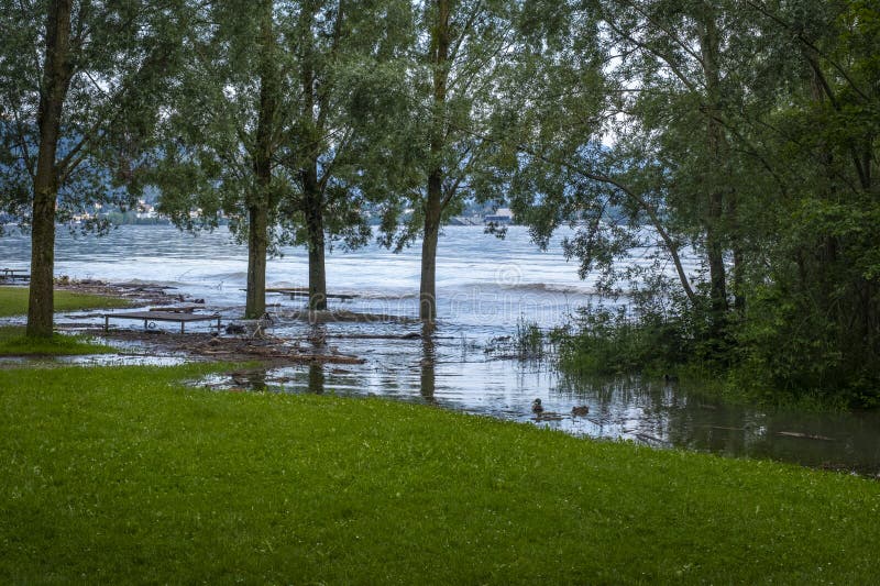 Flooding at the Lake Constance in Austria Stock Image - Image of ...