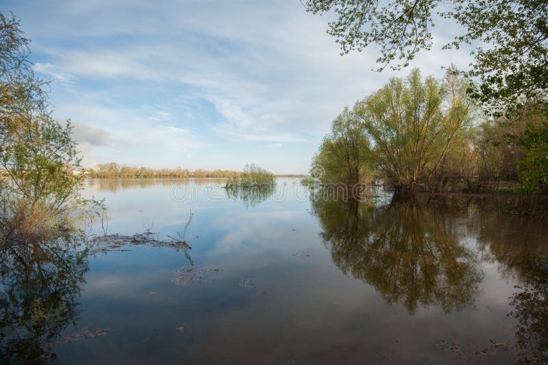 Flooding on the River Akhtuba Stock Image - Image of evening, leaf ...