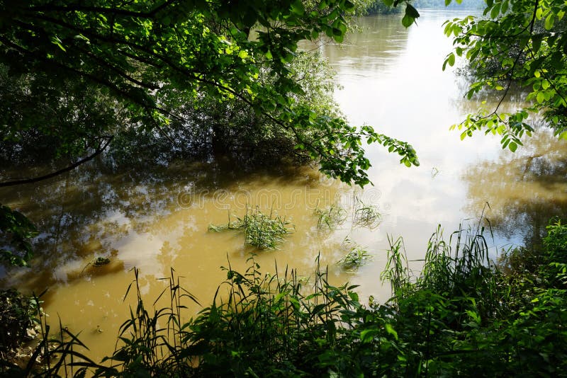 Flooding stock photo. Image of nature, flooding, summer - 72765214
